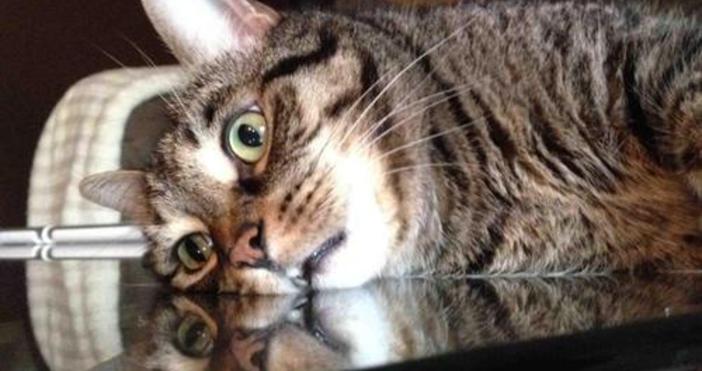 Petel.bg - новини - 13 мисли, които стават по-верни с всяко прочитане! ПОСЛЕДНАТА МИСЪЛ ЩЕ ВИ УЖАСИ!