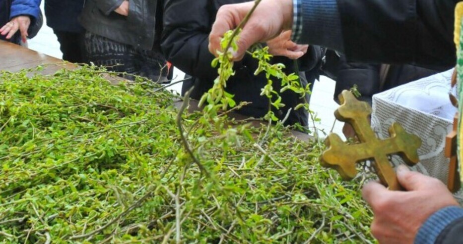 Petel.bg - новини - Празнуваме Цветница