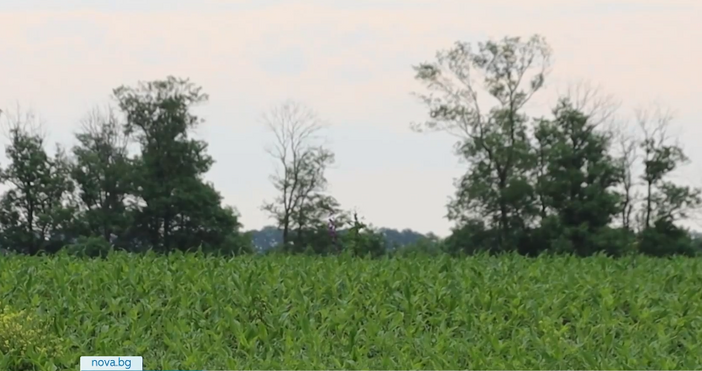 Petel.bg - новини - Предупредиха за сериозен проблем в Добруджа