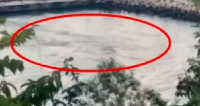 Petel.bg - новини - Какво откриха във водата във Варна