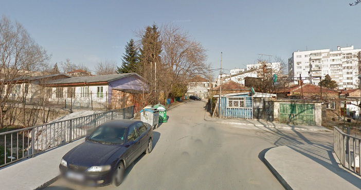 Petel.bg - новини - Премахват опасно дърво в Цветния квартал във Варна