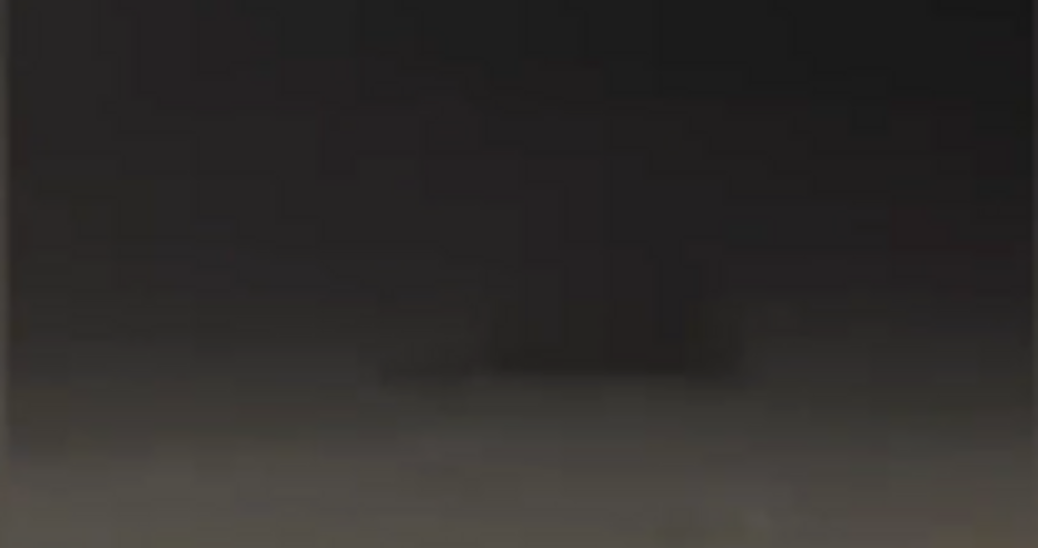 Petel.bg - новини - Първи кадри от Румъния с българската пантера