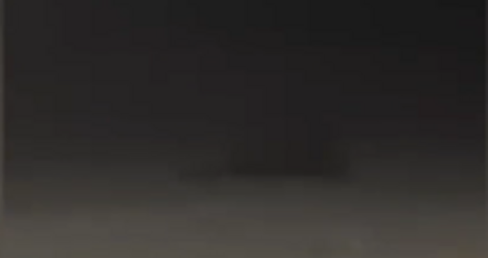 Petel.bg - новини - Първи кадри от Румъния с българската пантера