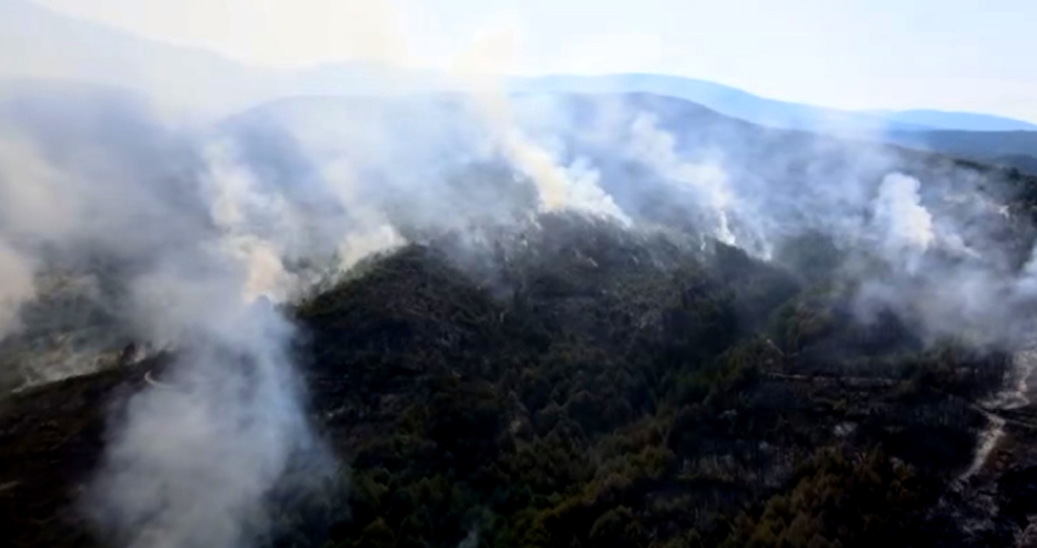 Petel.bg - новини - Пирин е в голяма беда