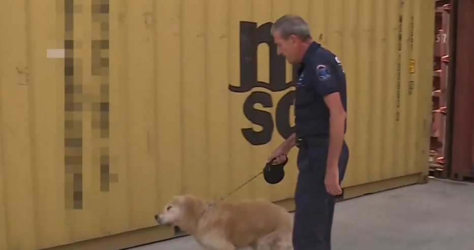 Petel.bg - новини - Пенсионира се легендарен митничар от Варна