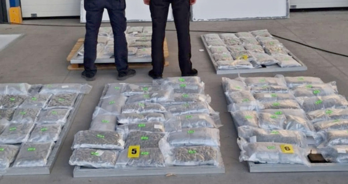 Petel.bg - новини - Откриха близо 50 кг марихуана в соларни панели на митницата във Варна