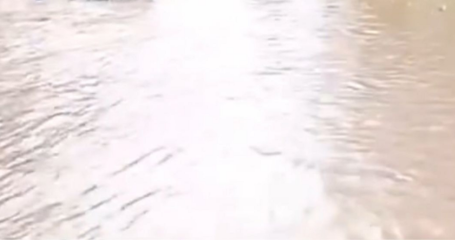 Petel.bg - новини - Скъса се язовирна стена