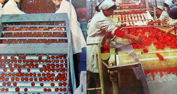 Petel.bg - новини - Легендарен завод, изхранвал НРБ, се продава